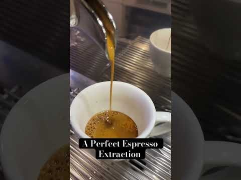 How a Good Espresso Extraction Should Look | BrewedCoffee.com